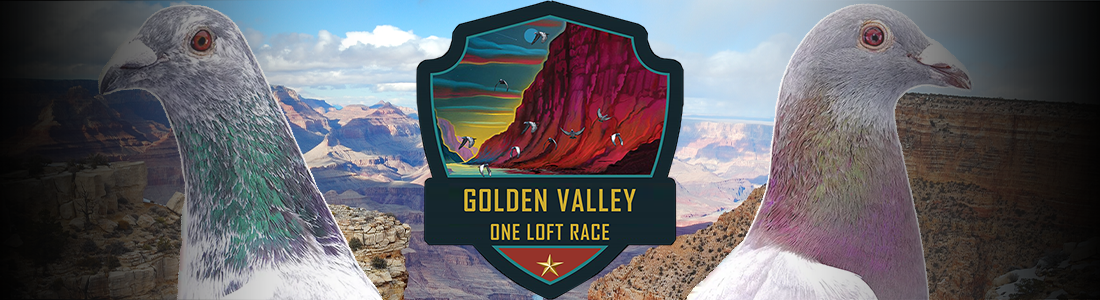 Golden Valley One Loft Race - Home